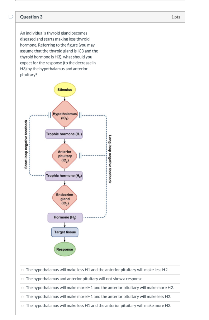 Solved Question 3 1pts An individual's thyroid gland becomes | Chegg.com