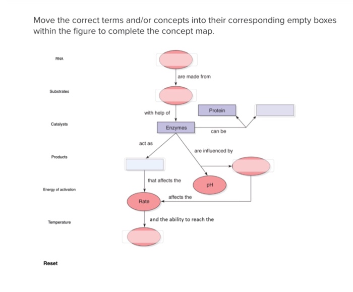 Solved Move the correct terms and/or concepts into their | Chegg.com