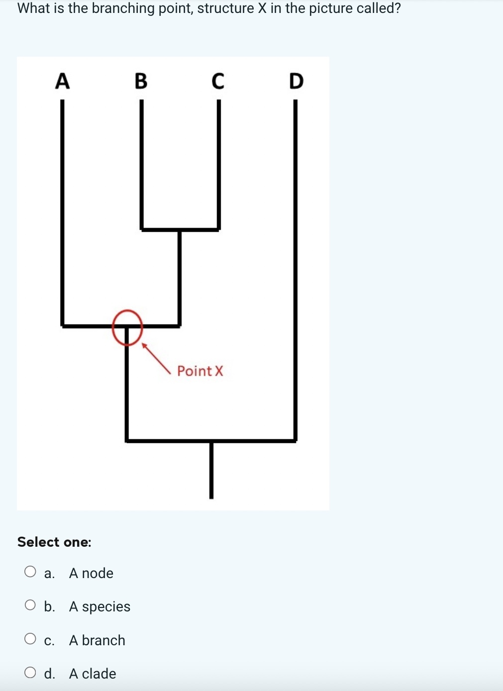 What is the branching point, structure X in the | Chegg.com