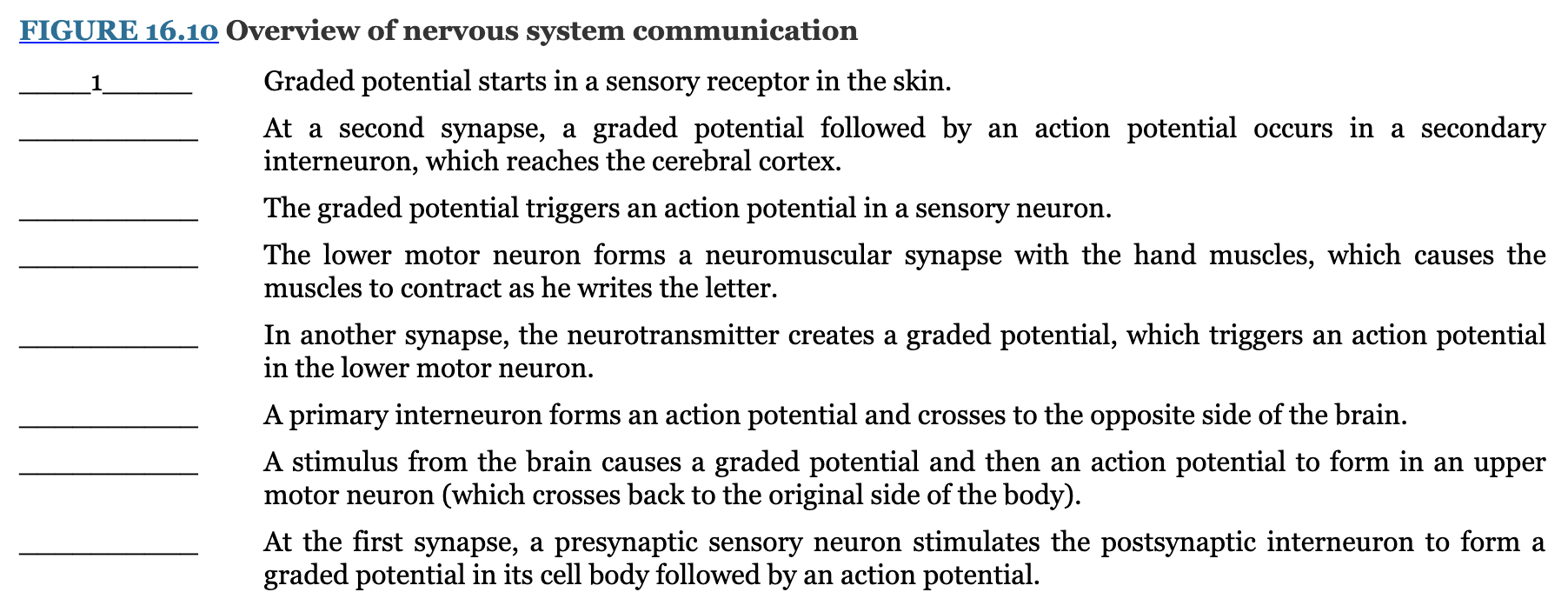 Solved C. Overview of Communication within the Nervous | Chegg.com