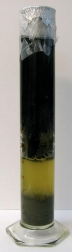 Solved Winogradsky column. A. Indicate three different | Chegg.com