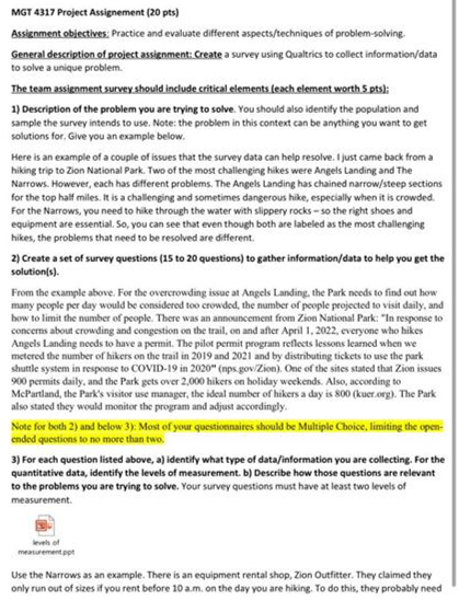 Solved MGT 4317 ﻿Project Assignement (20 ﻿pts)Assignment | Chegg.com