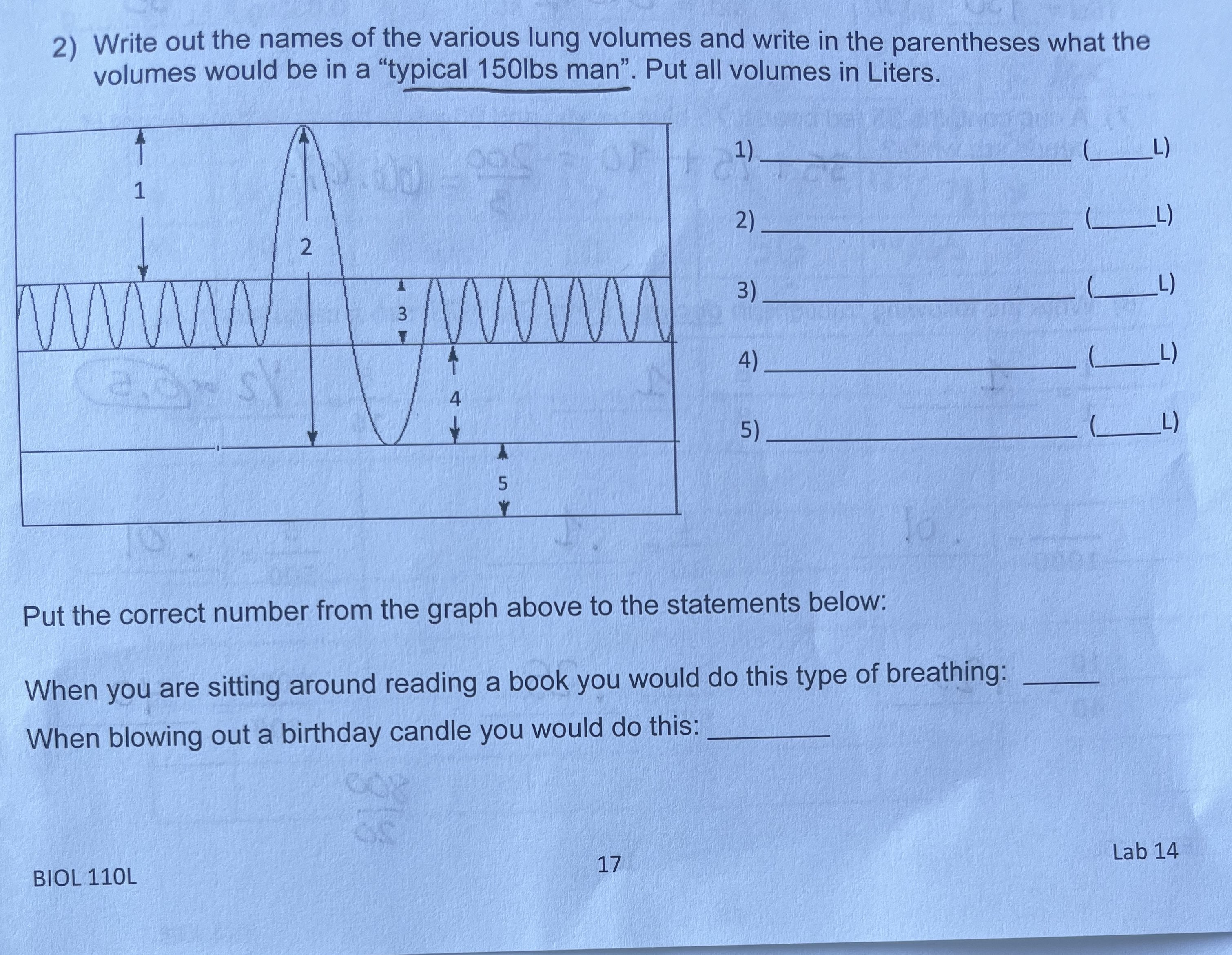 Solved write out the names of the various lung volumes and | Chegg.com