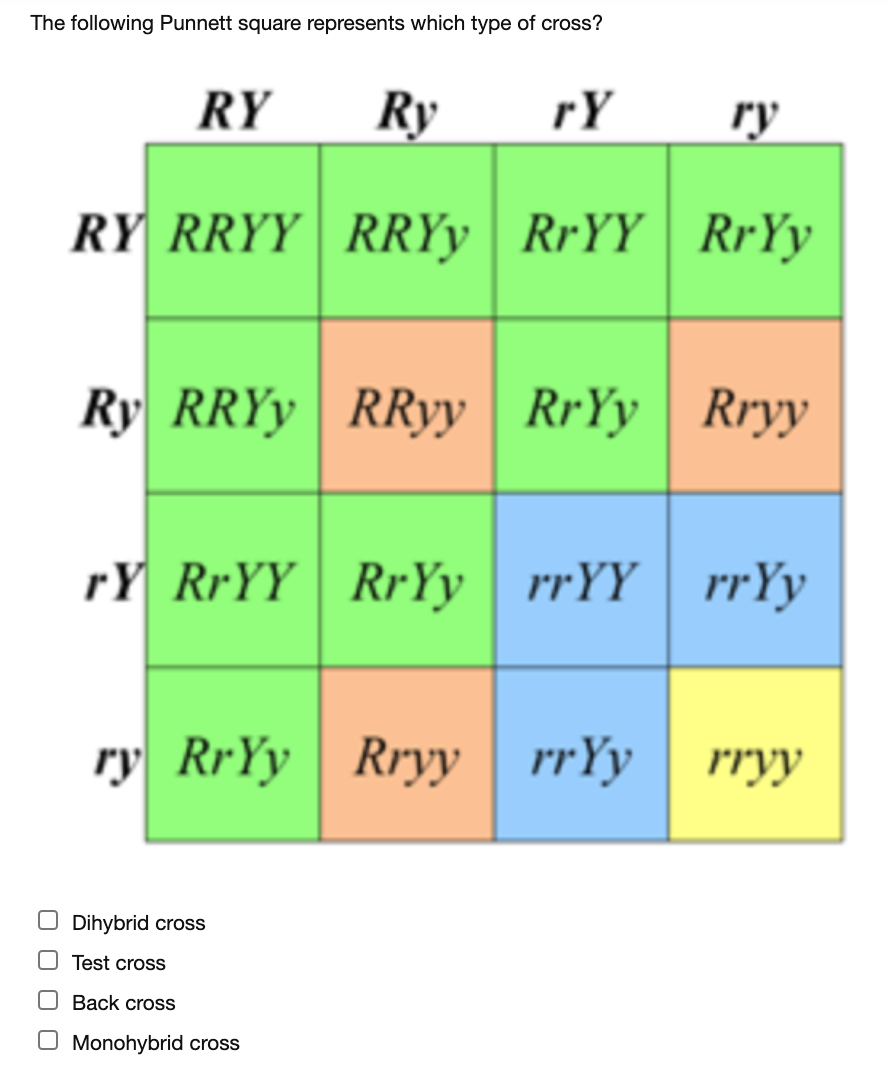 Solved The following Punnett square represents which type of | Chegg.com