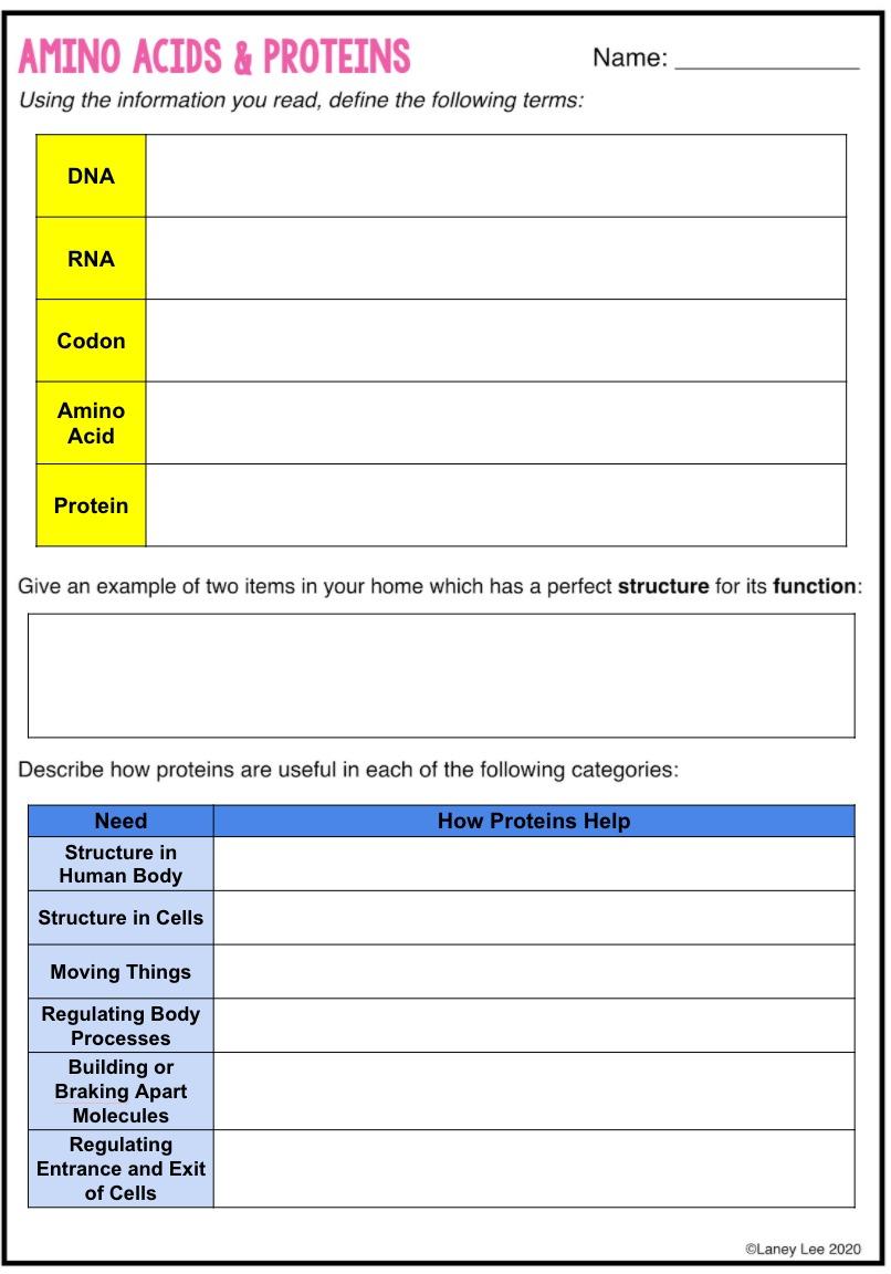 Solved AMINO ACIDS & PROTEINS Name: Using the information | Chegg.com