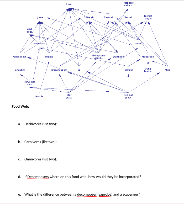Solved Food Web:a. ﻿Herbivores (list two):b. ﻿Carnivores | Chegg.com