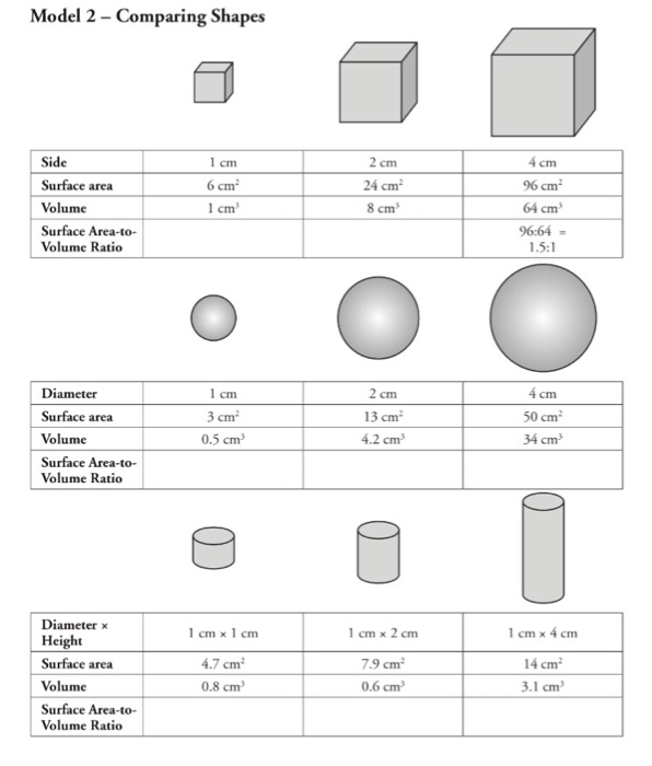 Solved Model 2 - Comparing Shapes Side Surface area Volume | Chegg.com