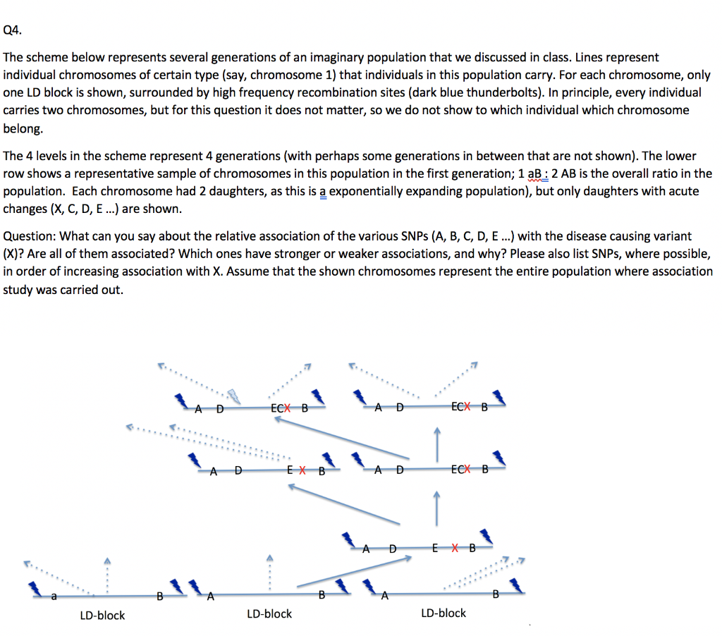Q4 The scheme below represents several generations of | Chegg.com