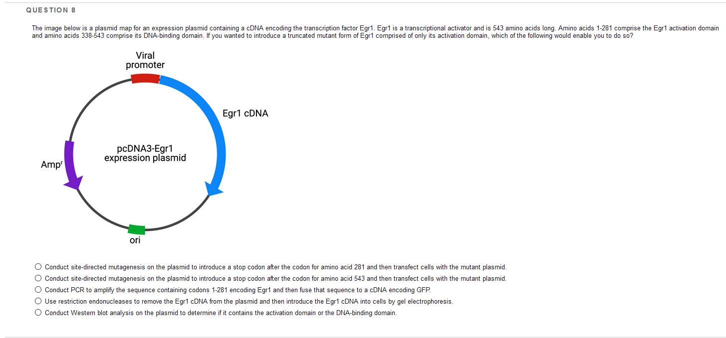 Solved QUESTION 8 The image below is a plasmid map for an | Chegg.com