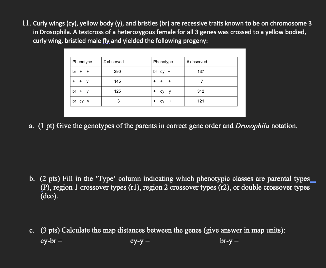 Solved 11. Curly wings (cy), yellow body (y), and bristles | Chegg.com