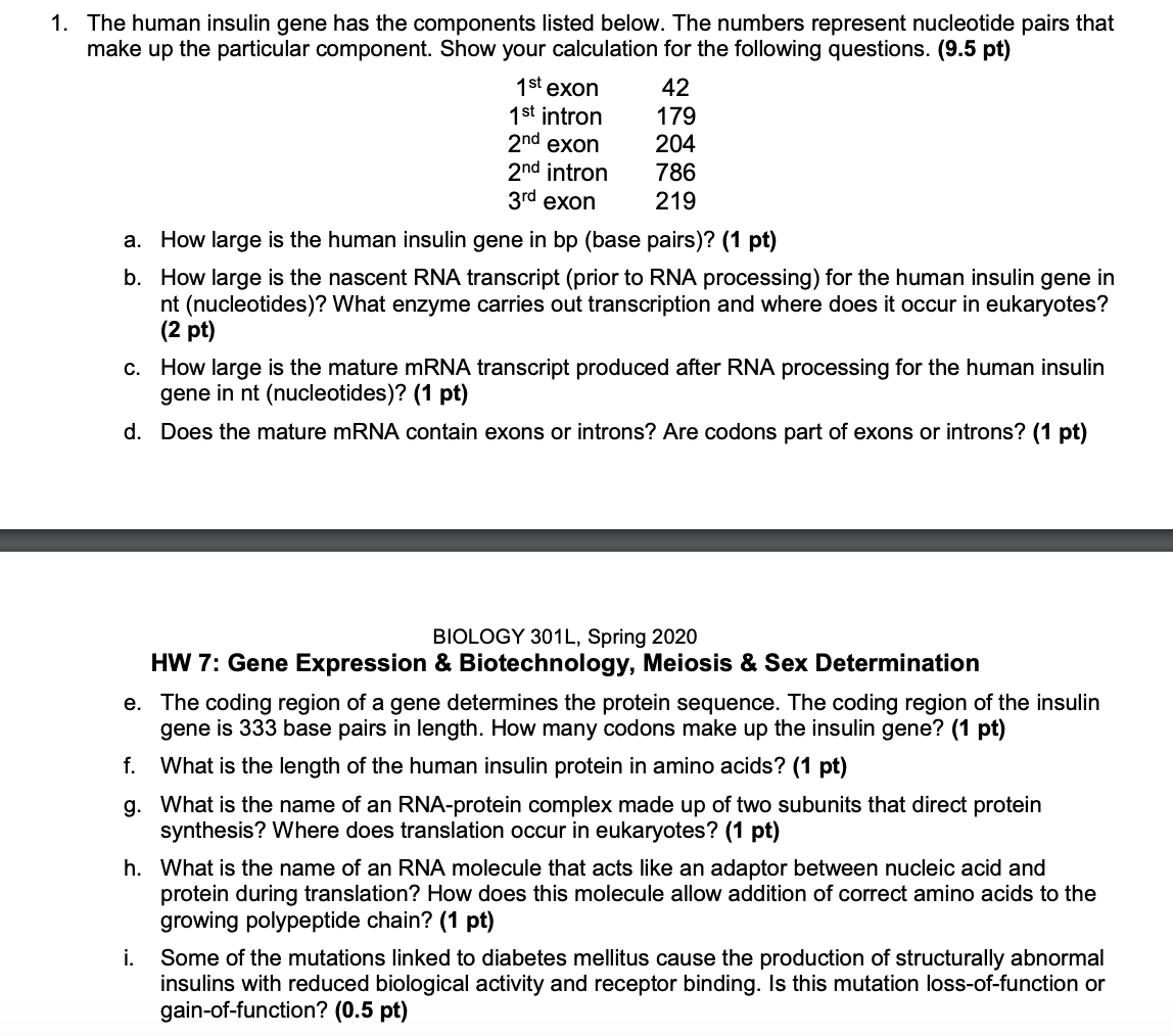 Solved 1. The human insulin gene has the components listed | Chegg.com