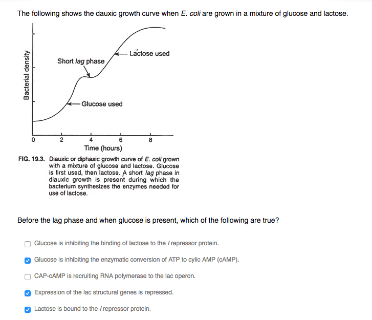 Solved The following shows the dauxic growth curve when E. | Chegg.com