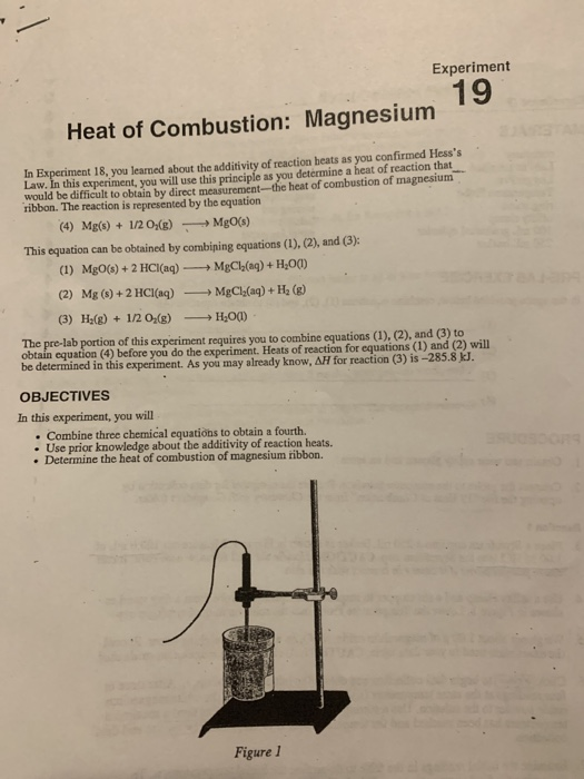 Experiment 19 Heat of Combustion: Magnesium Law. In | Chegg.com