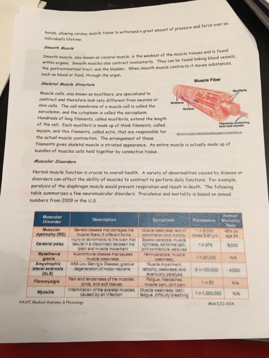 Solved: Lab: The Musculer System The Muscular System The M... | Chegg.com