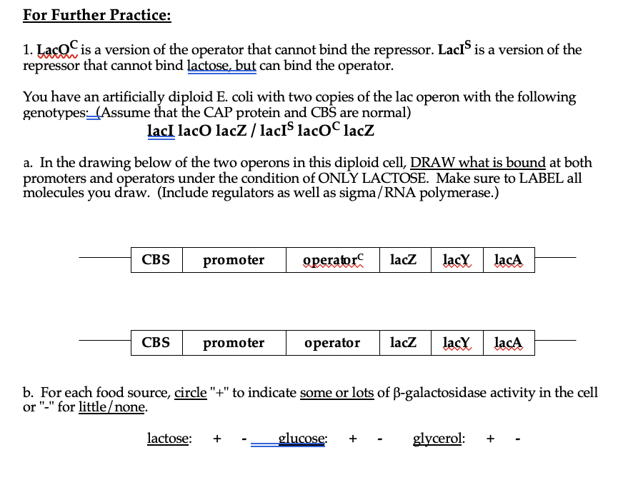 Solved For Further Practice: 1. Laço is a version of the | Chegg.com