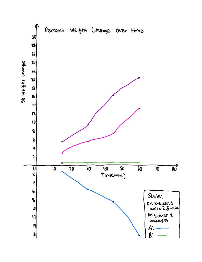 Solved Table 4.3: The weights of the dialysis bags at | Chegg.com