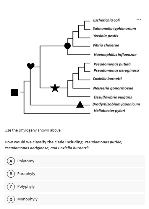 Solved Use the phylogeny shown above: How would we classify | Chegg.com