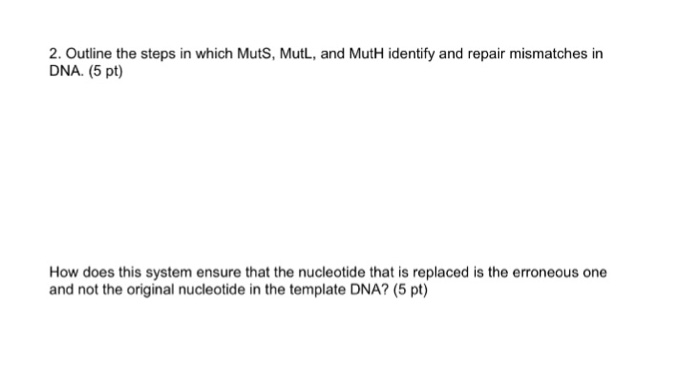 Solved 2. Outline the steps in which MutS, MutL, and MutH | Chegg.com