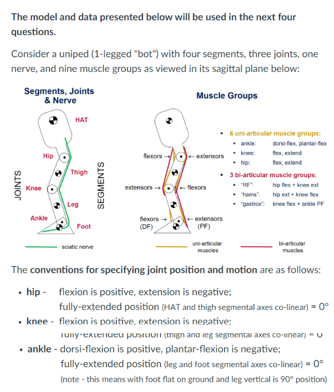Solved 6- Is the "gastrox" bi-articular muscle group in this | Chegg.com