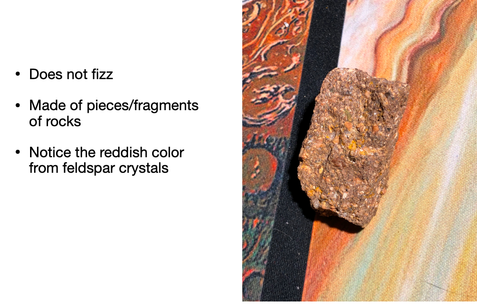 Solved 172 CHAPTER 6 USING SEDIMENTARY ROCKS TO INTERPRET | Chegg.com