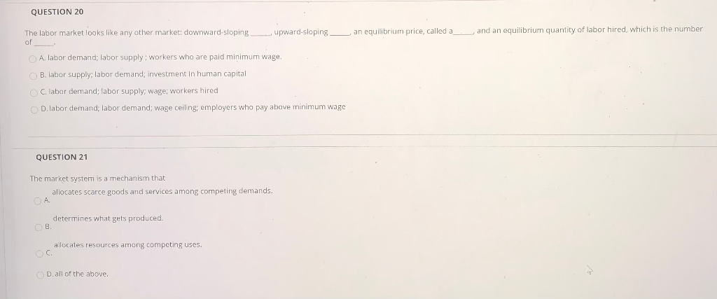 Solved QUESTION 20 The labor market looks like any other | Chegg.com