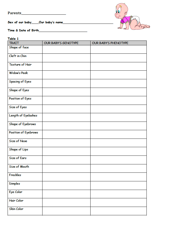 Solved Let's Make a Baby! Congratulations on your new | Chegg.com