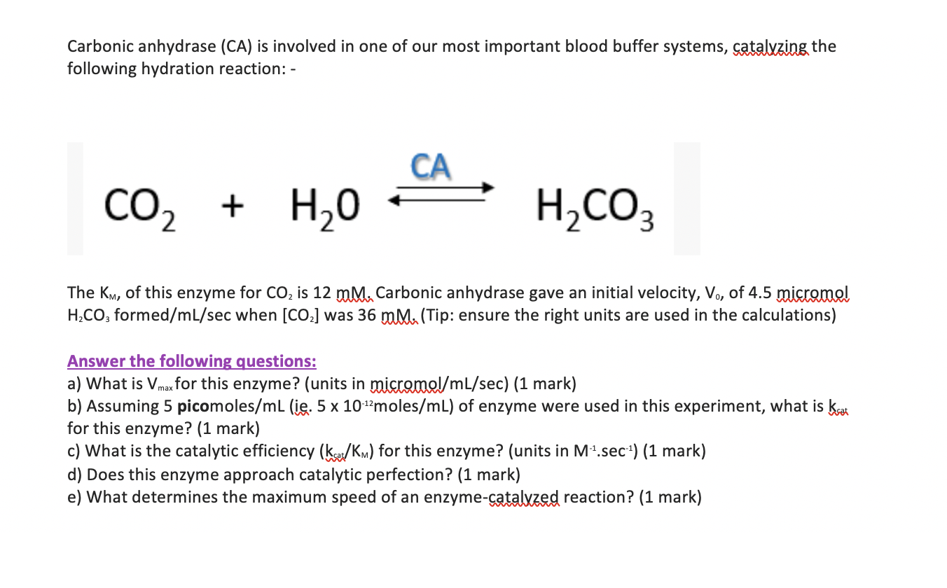 Solved Carbonic anhydrase (CA) is involved in one of our | Chegg.com