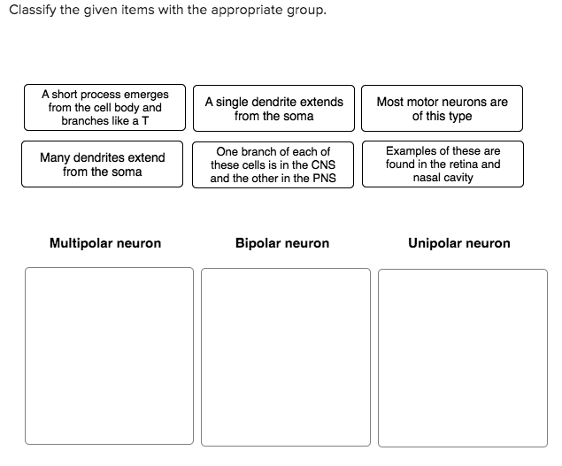 Solved Classify the given items with the appropriate group. | Chegg.com