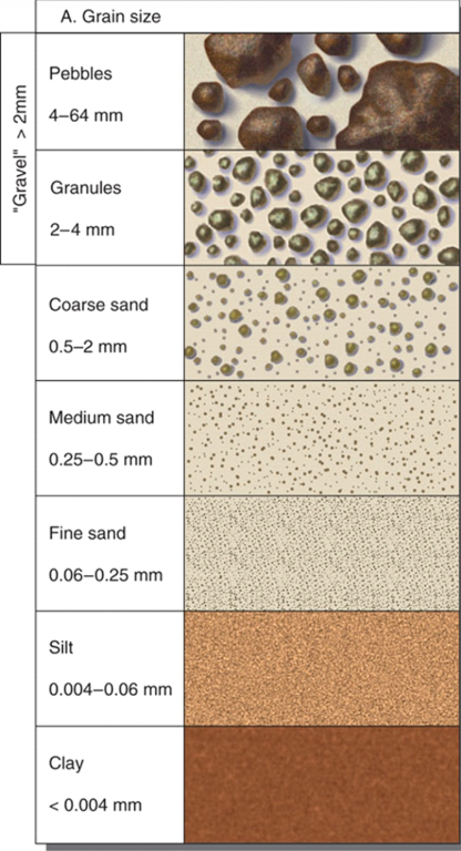 Solved Based on your new understanding of sedimentology, | Chegg.com