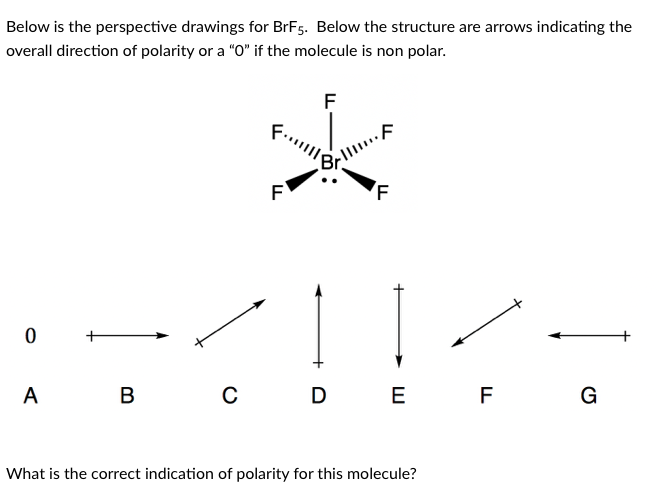 Solved Below is the perspective drawings for BrF5. Below the | Chegg.com