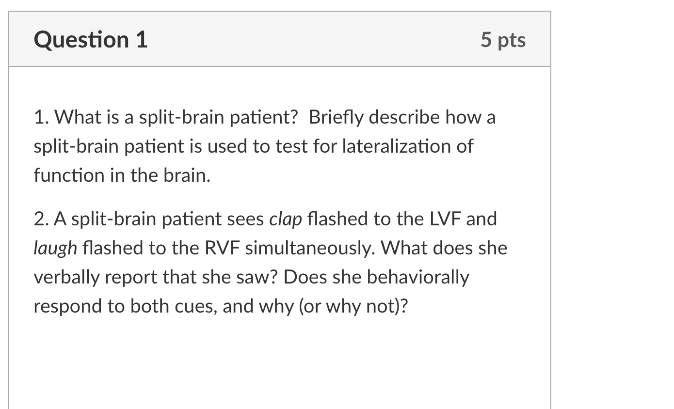 Solved 1. What is a split-brain patient? Briefly describe | Chegg.com