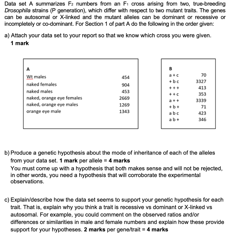 Solved Data set A summarizes F2 numbers from an F1 cross | Chegg.com