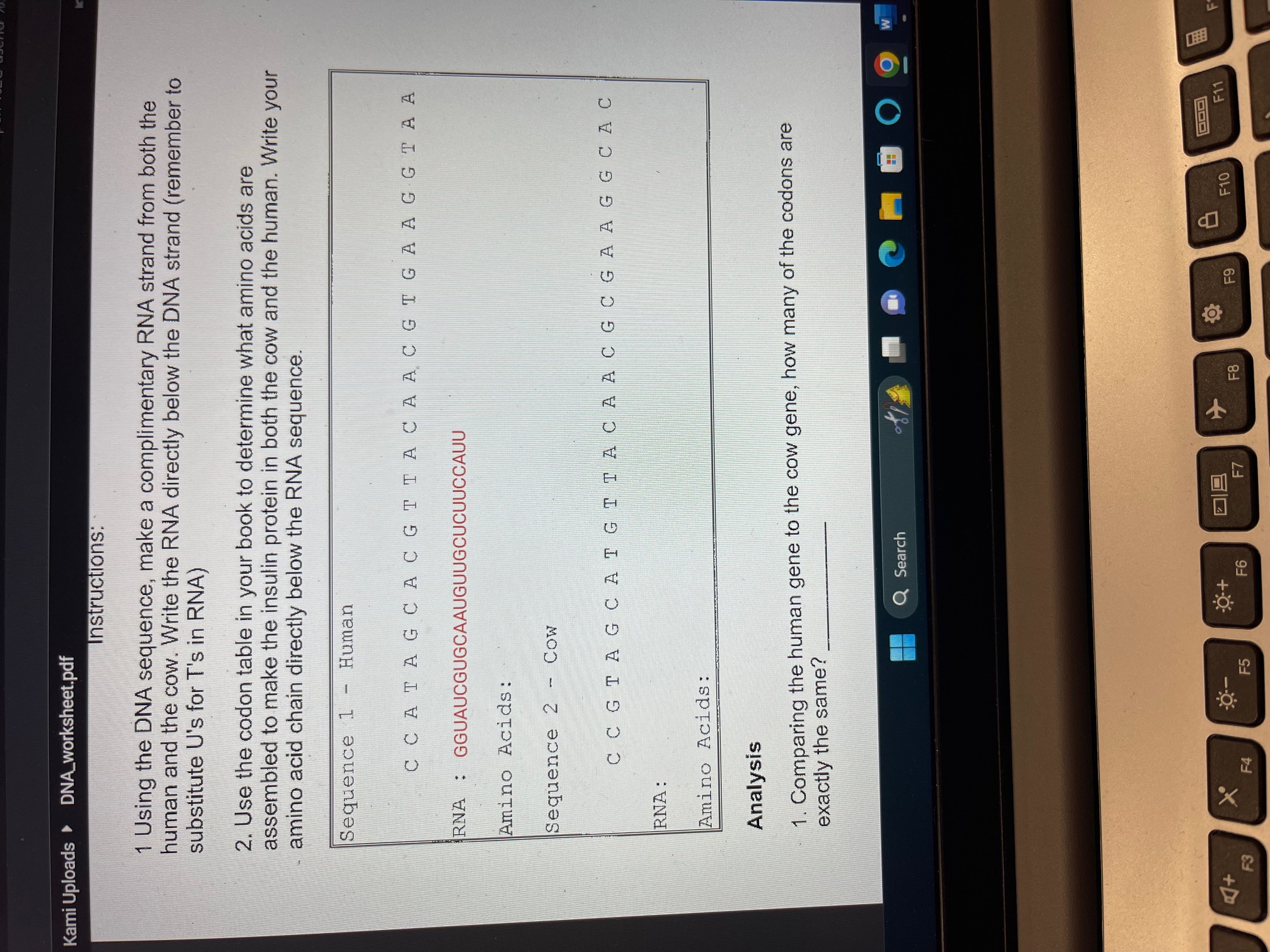 Solved Instructions:1 ﻿Using the DNA sequence, make a | Chegg.com