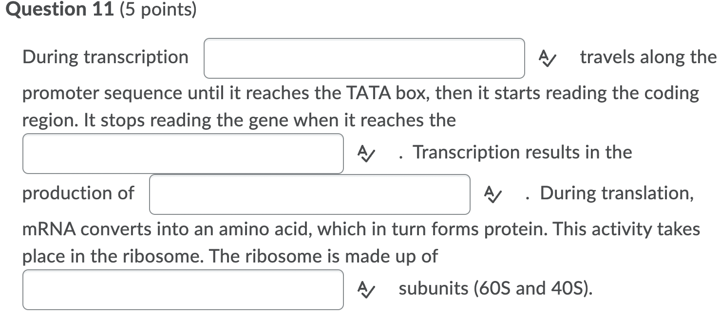 Solved 1. What does the base sequence AAU GCA code for? A) | Chegg.com