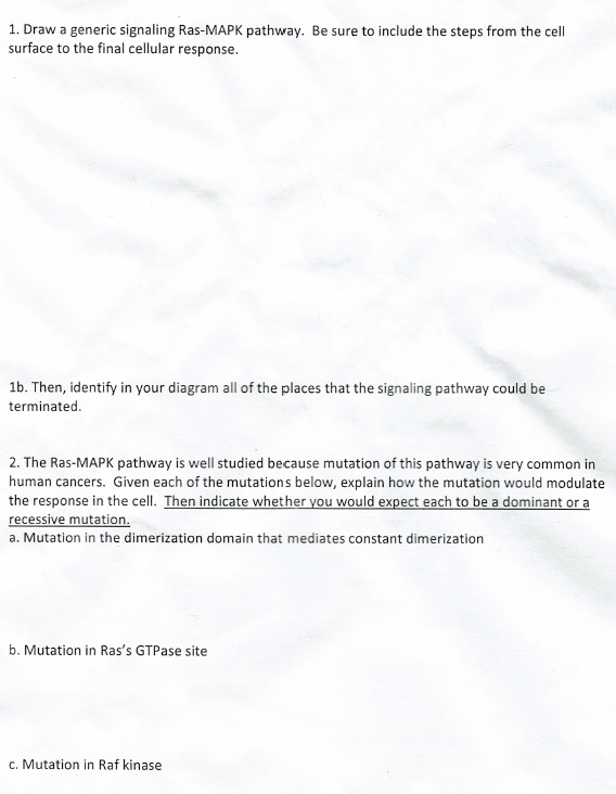 Solved 1. Draw a generic signaling Ras-MAPK pathway. Be sure | Chegg.com