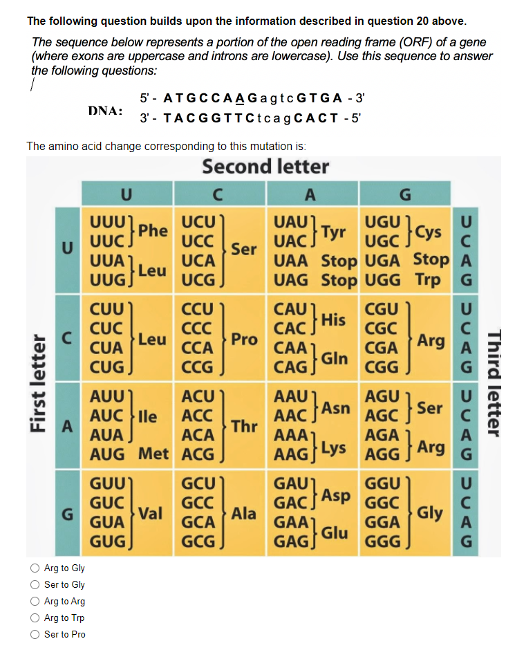 Solved The following question builds upon the information | Chegg.com