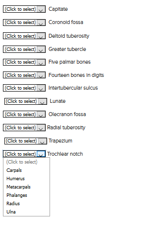 Solved Match the bones of the upper arm, forearm, and hand | Chegg.com