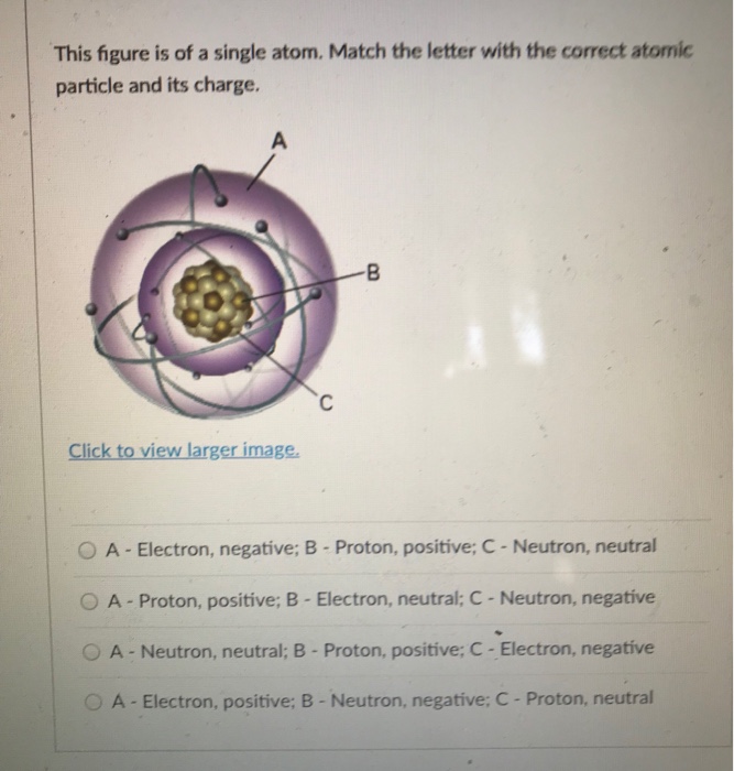 Solved This figure is a schematic of a single atom. Which | Chegg.com