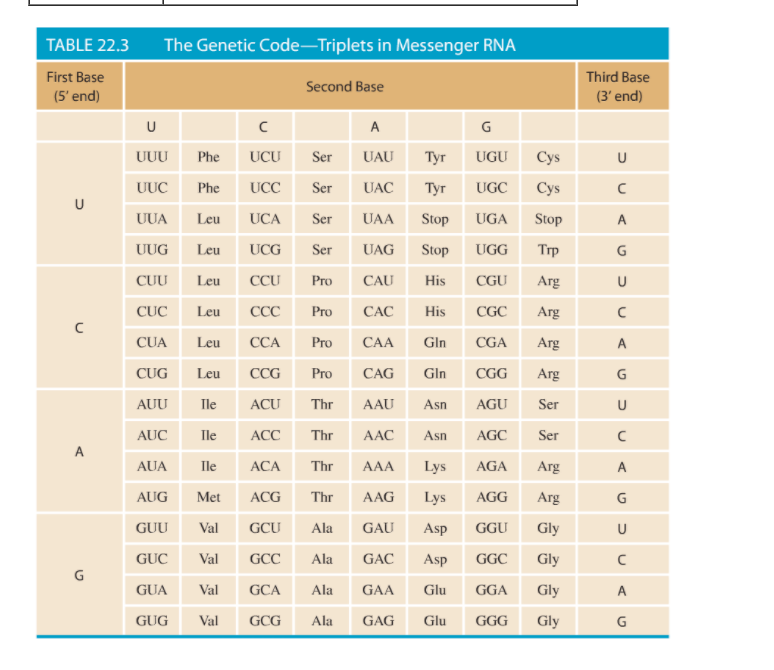 Solved Fill in the needed bases, codon, anticodon, or amino | Chegg.com