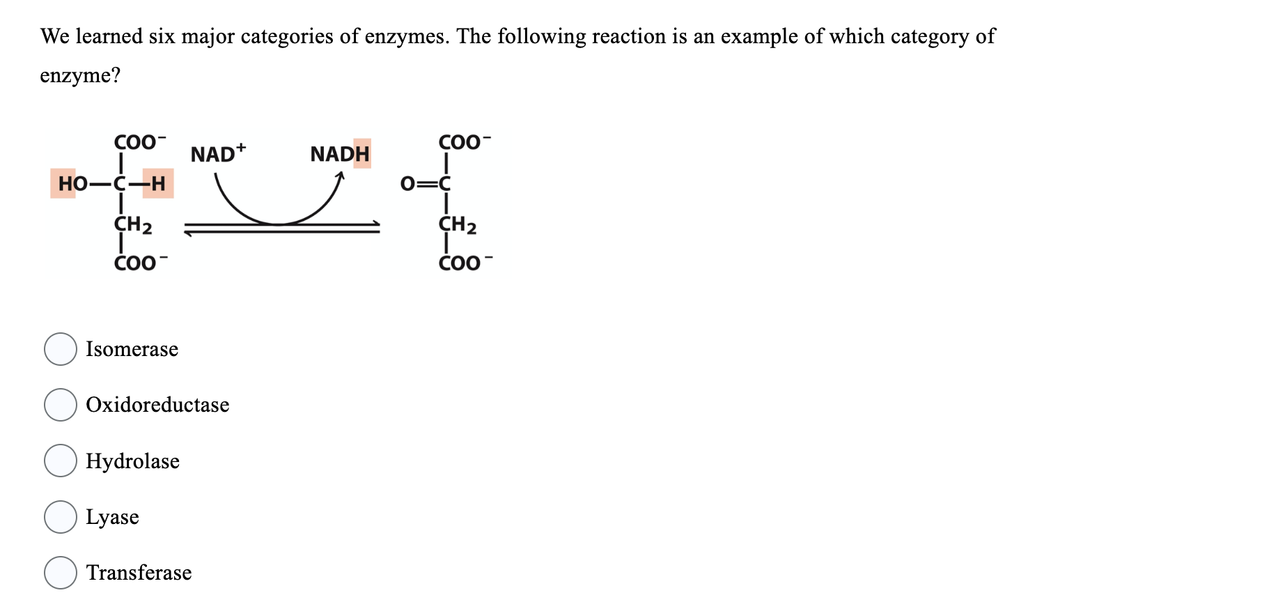 Solved We learned six major categories of enzymes. The | Chegg.com