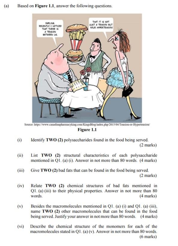 Solved (a) Based on Figure 1.1, answer the following | Chegg.com