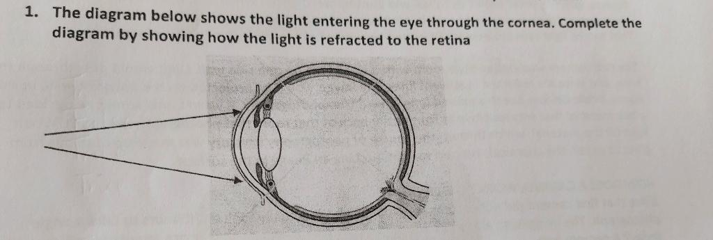 Solved 1. The diagram below shows the light entering the eye | Chegg.com
