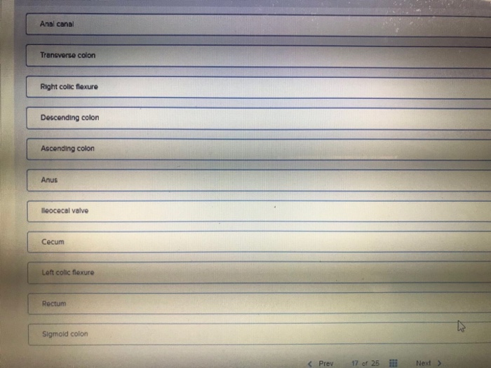 Solved Identify each image shown below. Then click and drag | Chegg.com