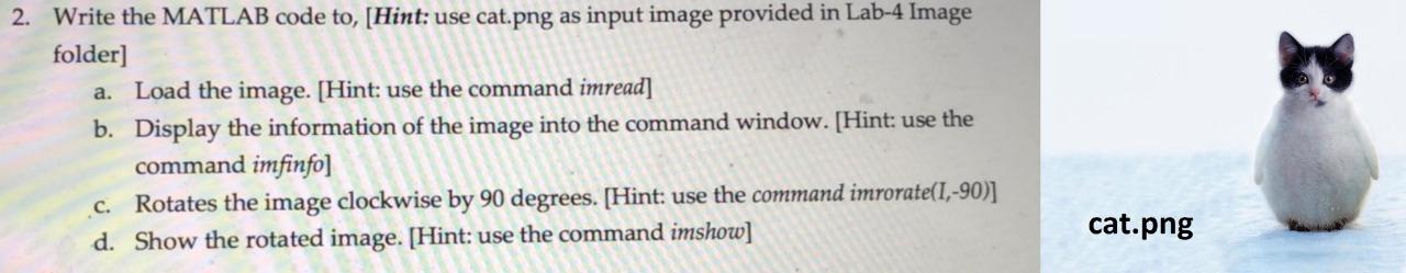 Solved 2. Write the MATLAB code to, [Hint: use cat.png as | Chegg.com
