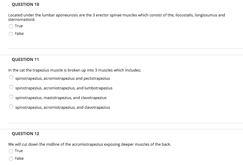 Solved QUESTION 10 Located under the lumbar aponeurosis are | Chegg.com