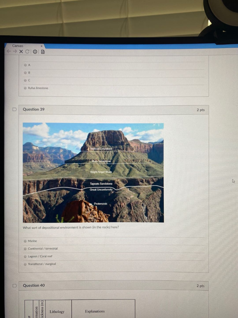 Canvas > X N Mud cracks Ripple marks Cross bedding | Chegg.com