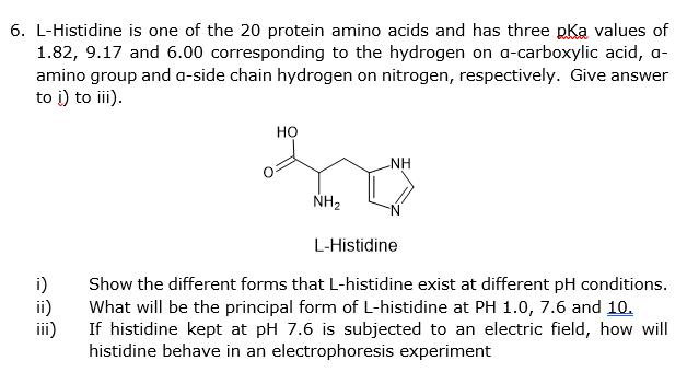 Solved 6. L-Histidine is one of the 20 protein amino acids | Chegg.com