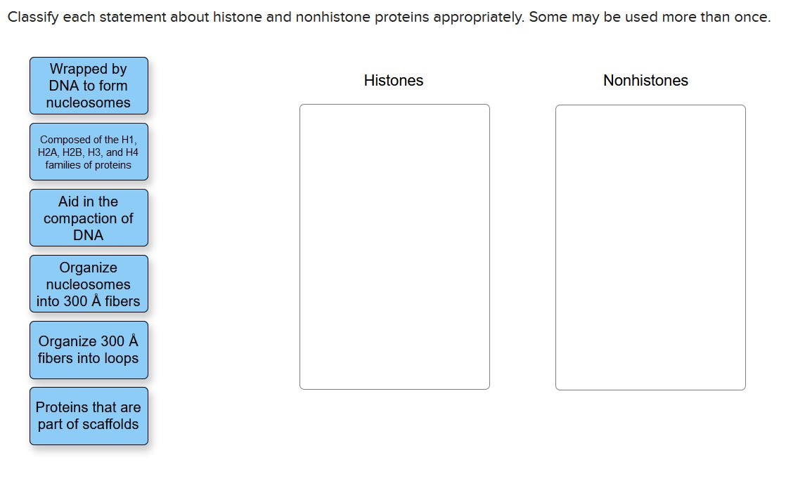 Solved Classify each statement about histone and nonhistone | Chegg.com