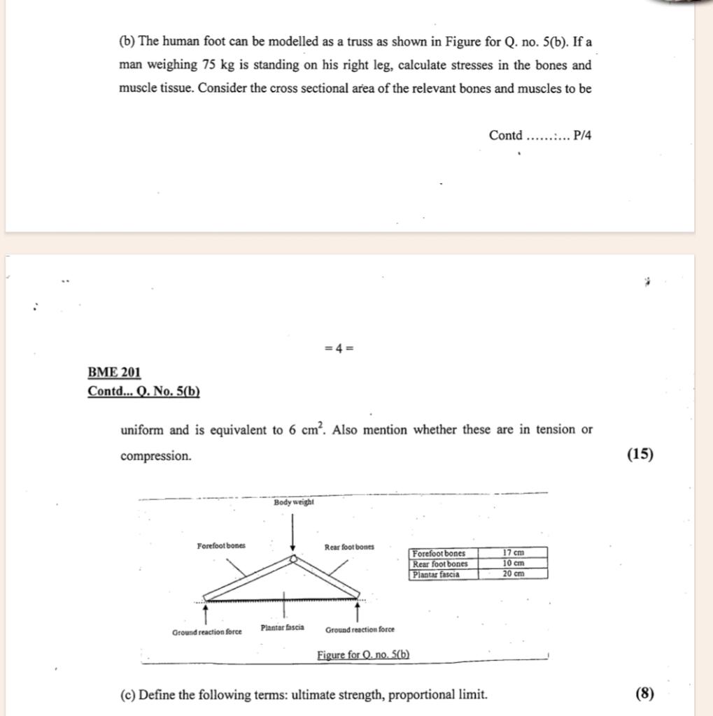 Solved (b) The human foot can be modelled as a truss as | Chegg.com