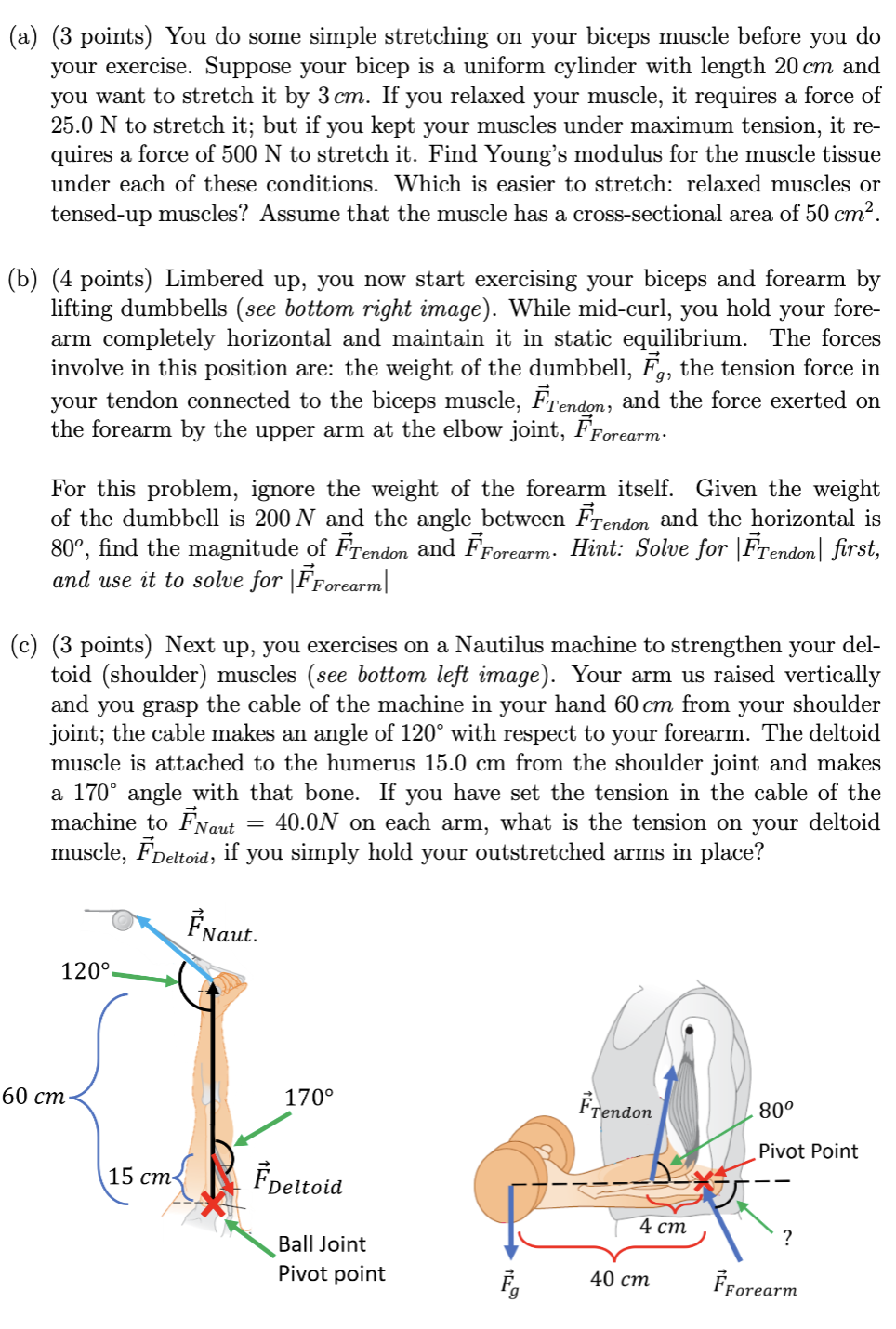 Solved (a) (3 ﻿points) ﻿You do ﻿some simple stretching on | Chegg.com